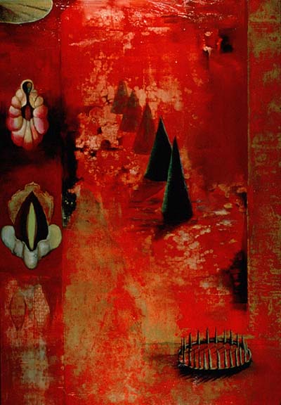 Barbara Rogers Dreaming of Eden: Meditations on the Garden